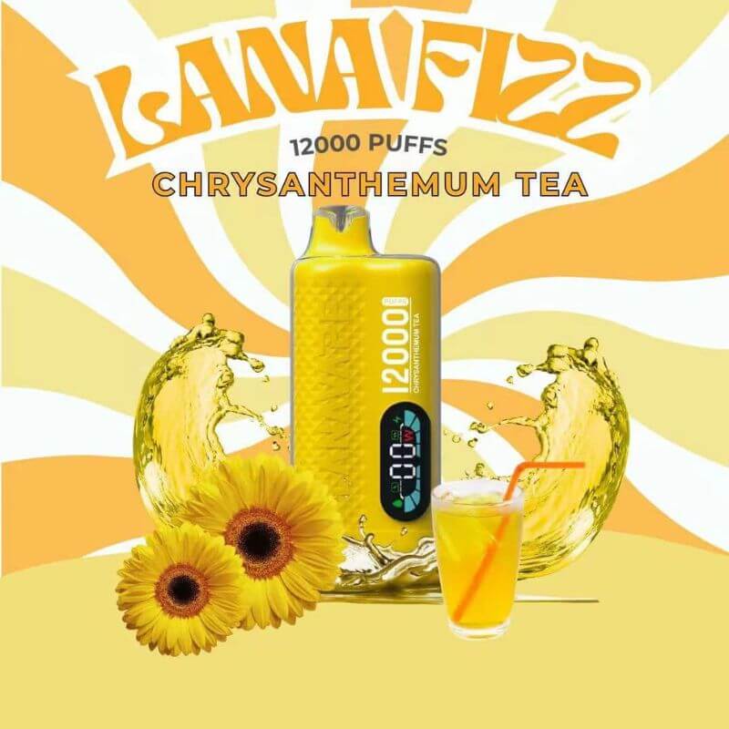 LANA FIZZ 12000 Puffs - Same Day Delivery in SG Area – VAPE BAR